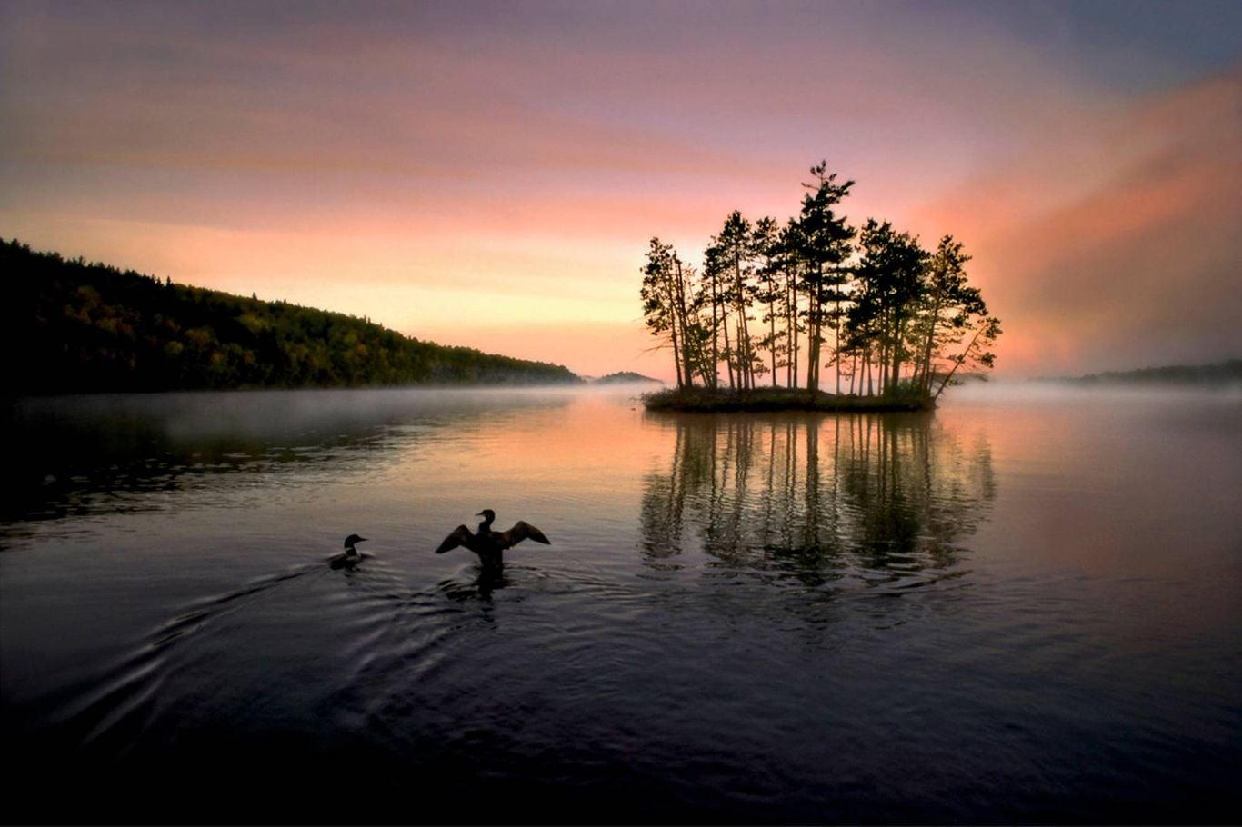 Photographer Jim Brandenburg adds a wolf paw to his signature ...