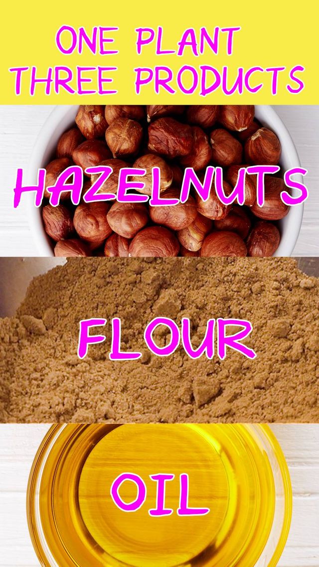 Relish: Two Recipes with American Hazelnuts by Beth Dooley | TPT Originals