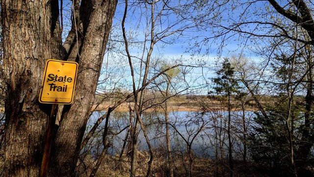 Luke Heikkila | TPT Originals