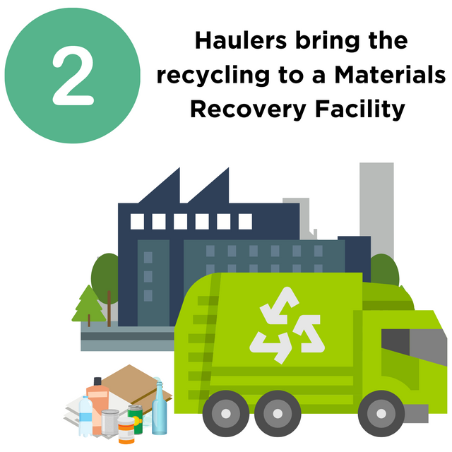 Can I Recycle That? | TPT Originals